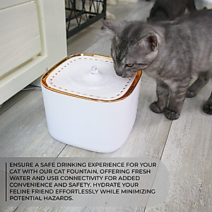 BESTIA Jack Cat Water Fountain - 67oz/2.5L Noise-Free, LED Light, Carbon Absorption Filter, Pet Water Fountain for Cats & Small Dogs (White, Polypropylene)