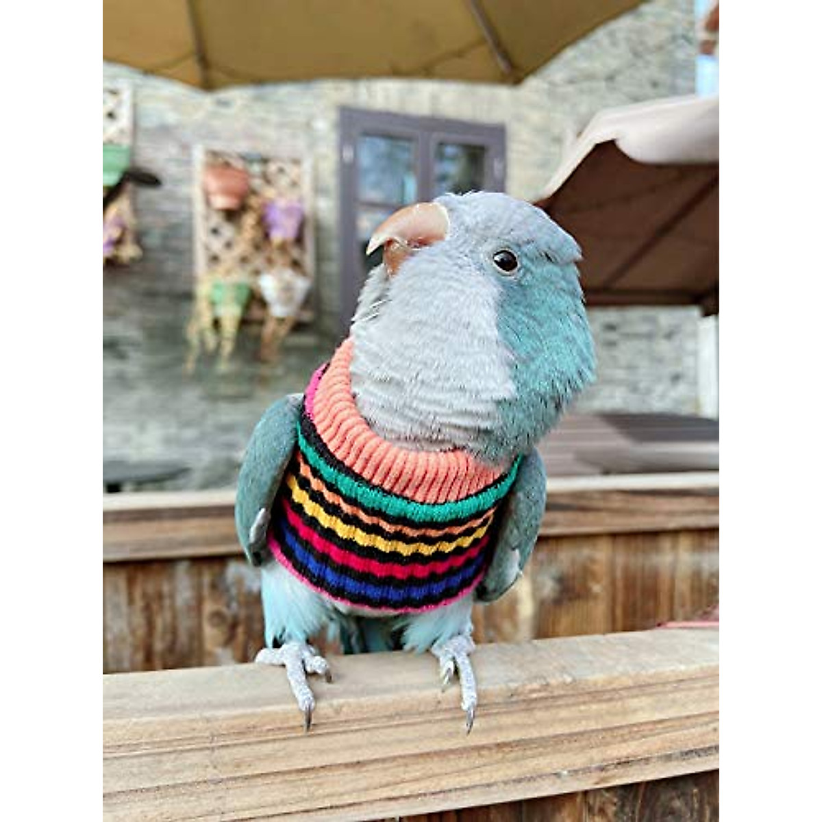 HEZHUO Parrot Bird Supplies, Light Flying Clothes, Warm and Comfortable, Tiger Skin, Green Cheek Parrot, Little Sun Parrot, Monk Parrot, Starling, mynah, Senegal Parrot, Mini Macaw Sweater (4XL)