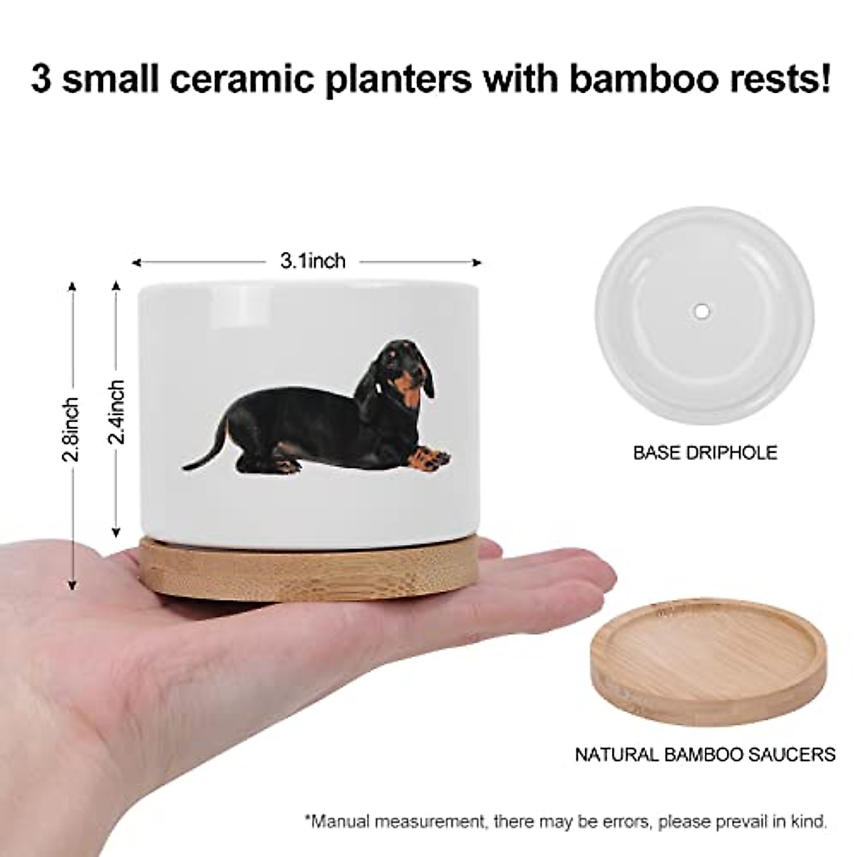 Whonline Dachshund Dog Planters, Cute Succulent Pots Dachshund Gifts for Women, Small Ceramic Flower Pots with Bamboo Tray, Weiner Dog Plant Pots Gifts for Friends Birthday Gift Set