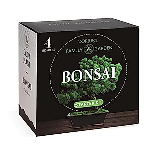 DORAKCI Bonsai Tree Kit - Gardening Gift for Men & Women - Bonsai Tree Growing Garden Crafts Hobby Kits for Adults - Room Decor - Bonsai Tree for Beginners - Crafts for Adults