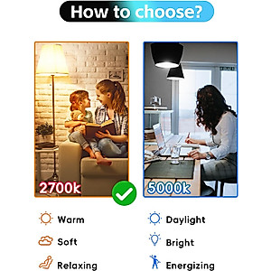 LED Edison Bulb E26 60 watt Light Bulbs Equivalent Dimmable 8W LED Bulb 2700K Warm White 800 Lumen Vintage LED Filament Bulbs Replacement Bulb for Kitchen Light Vanity Light Room Light, 6 Pack