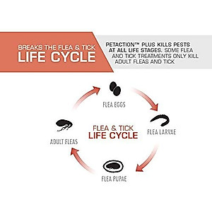 PetAction Plus for Cats 12 Doses