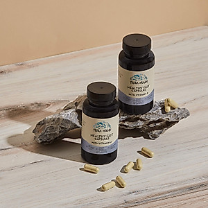 TERRA ORIGIN Healthy Gut Capsules with Vitamin D | 60 Capsules | Digestive Support, intestinal Permeability, IBS, Bloating, Gas and Constipation* 30 Servings/60 Capsules