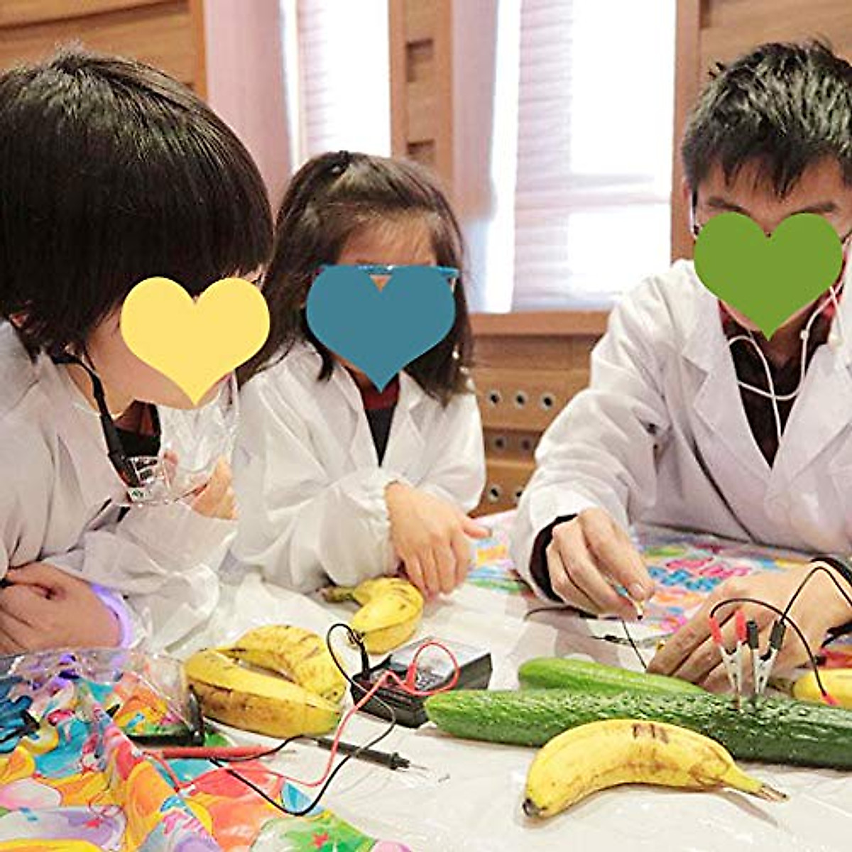 Skelang Fruit Battery Science Experiment Kit with Electronic Clock for DIY Home Teaching Toy , School Science Project, Education Subject