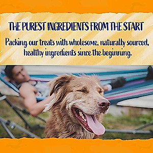Blue Dog Bakery, Natural Dog Treats, Chicken Bites, USA Chicken, Grain Free, 7.8-Ounce Pouch, (Pack of 1)