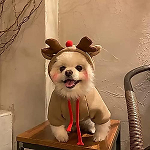 Small for Cats Clothes Puppy Coat Cute Cold Warm Hoodie- Outerwear Jacket Dog Dogs Pet Weather Largr Dog Sweater Shape Outfit Pet Clothes Mini Dog Dogs Blue Dog Sweater Large