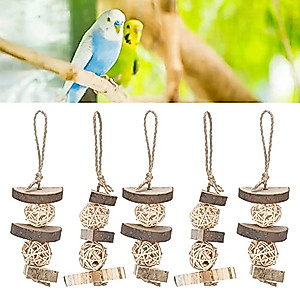 SYH&AQYE 5Pcs Bird Chewing Toys Bird Beak Grinding Stone for Parrots/Hamsters and Other Rodents Cage Hanging Bird Biting String Pet Accessory