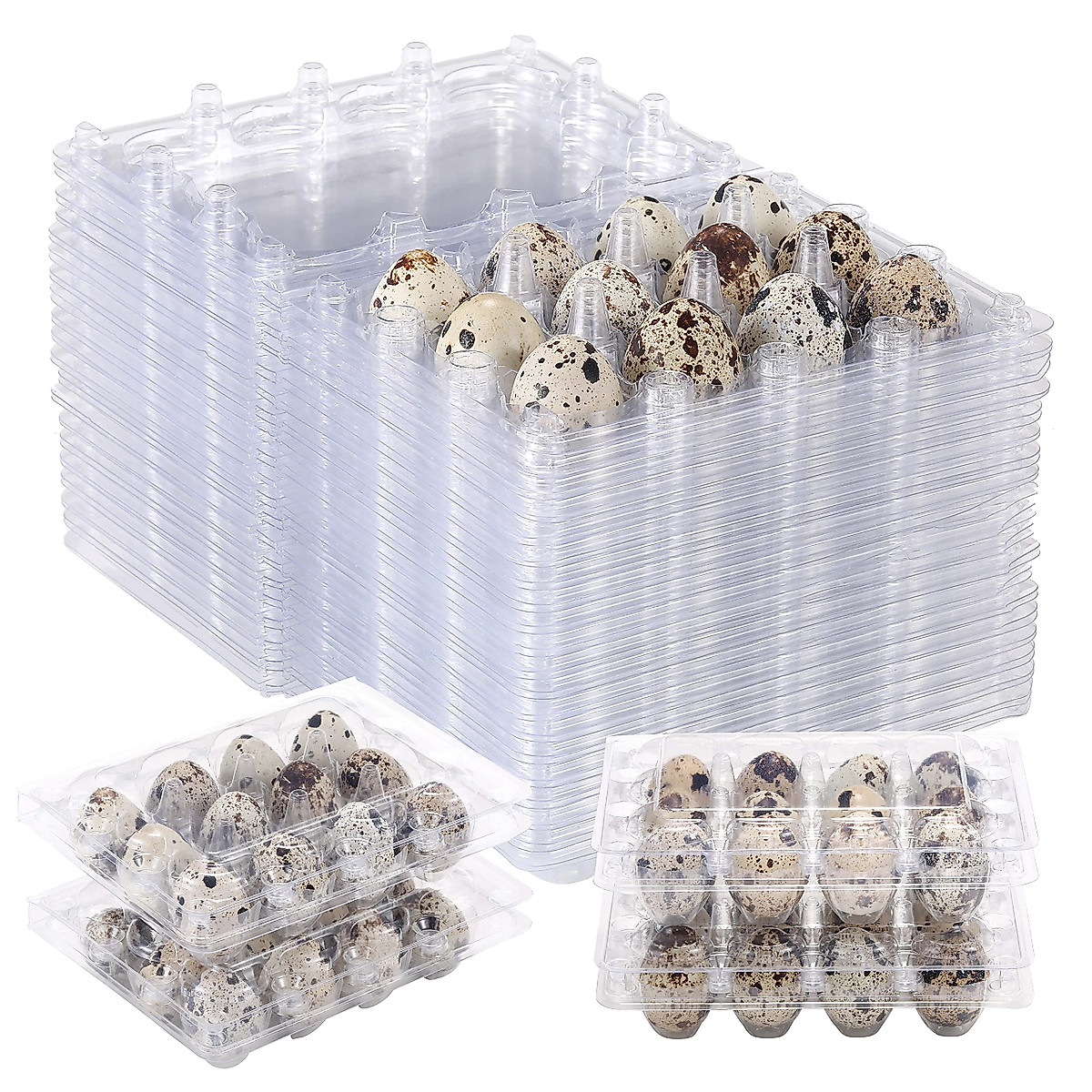 LayHyand 60 Pcs Quail Egg Cartons, Square Dozen Egg Boxes, Classical 3x4 Style Holds Up to Twelve 12 Count Small Quail Eggs Basket, Pigeon Eggs, Bulk Carton Quail Egg Tray Container for Refrigerator