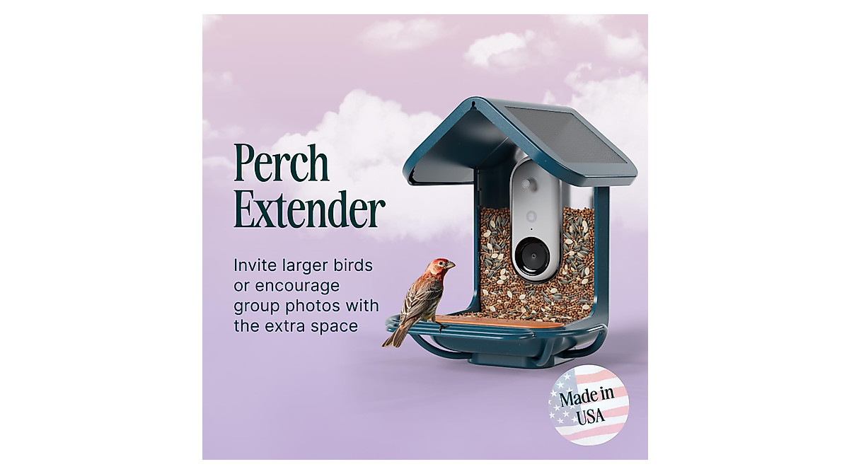 Bird Buddy Blue Perch Extender - Enhance Bird Watching