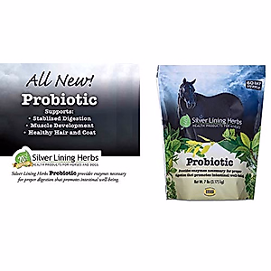 Silver Lining Herbs Horse Probiotic - Micro Encapsulated Probiotics for Equine Digestive Support and a Healthy Gut - Natural Source of Beneficial Bacteria and Enzymes - 7 lb Bag