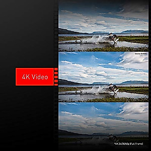 Panasonic LUMIX S1R Mirrorless Camera with LUMIX S 24-105mm f/4 O.I.S Lens - Open Box