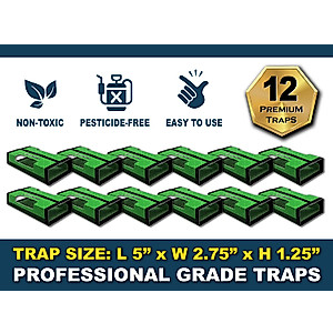 MaxGuard Spider + Insect Traps (12 pcs Box Trap) | Non-Toxic Extra Sticky Glue Traps , Kill Black Widow Hobo Brown Recluse Spiders and Other Crawling Bugs & Insects |