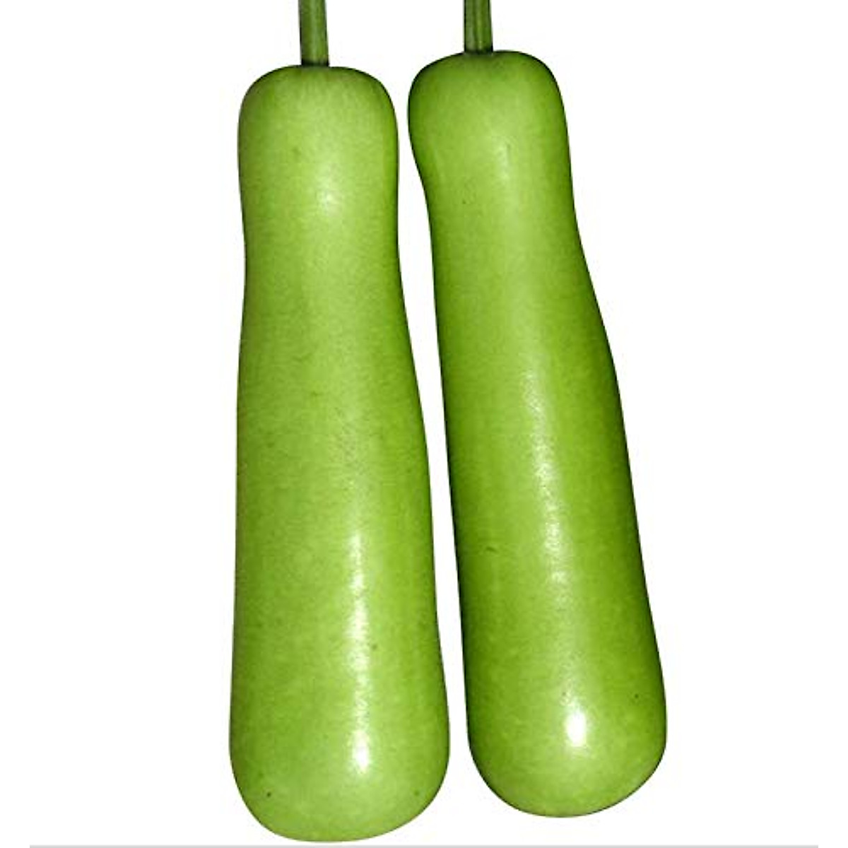 20+ Long Bottle Gourd Seeds Edible Asian Indian Opo Squash Dudi Calabash Long Melon