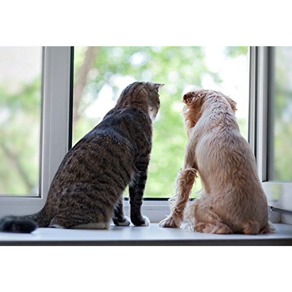 Calm Down Dog Treat - Premium Relaxant for Pets - Dogs and Cats - Anxiety Relief and Calmer - Treats - Dog Calming aid for Hyper Dog - 180 Treats (2 Bottle)