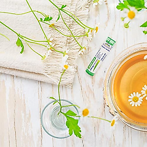 Boiron AllergyCalm Kids Pellets for Relief from Allergy and Hay Fever Symptoms of Sneezing, Runny Nose, and Itchy Eyes or Throat - 240 Count