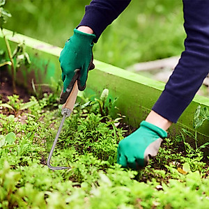 generic 2pcs Gardening Tool Single Claw Root Hook Manual Root Lifter Weeder Stainless Steel Weeds Remover Classic Weeder Garden Lawn Transplant Bonsai Tools