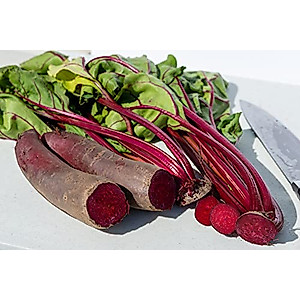 Cylindra Beet Seeds for Planting, 100+ Heirloom Seeds Per Packet, (Isla's Garden Seeds), Non GMO Seeds, Botanical Name: Beta vulgaris 'Cylindra', Great Home Garden Gift