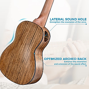 WINZZ AU88LAB Walnut Concert Ukulele Side Sound Hole Arched Back with Online Lessons, Gig Bag, Strap, Capo, Wall Hanger, 23 Inches