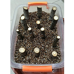 Organic Vermiculite Granules for Plants and Gardening (10 Quarts)