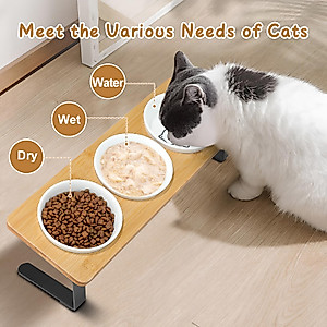 3 Elevated Cat Bowls Tilted Anti Vomiting Ceramic Raised Cat Food Bowls for Food and Water, Cat Dishes for Indoor Cats with Non-Slip Stand & Bamboo Board, Dishwasher Safe - 1 Step Assemble