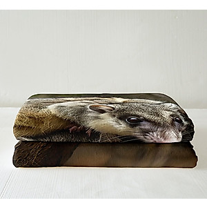 jejeloiu Opossum Sherpa Blanket Twin 60"x80" Possums Fleece Throw Blanket for Kids Boys Girls Possum Gifts Fuzzy Plush Blanket Possum Stuffed Animal Possum Family Flannel Blanket Bedroom