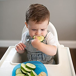 Dr. Brown's Stackable Plates for Toddlers and Babies, BPA Free, 4-Pack, 4m+