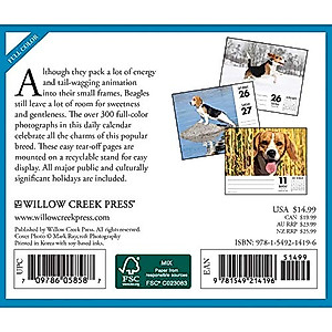 Just Beagles 2021 Box Calendar (Dog Breed Calendar)