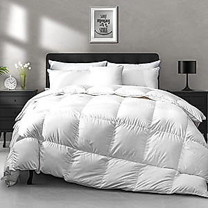 APSMILE All Season Goose Feather Down Comforter Full/Queen Size - Ultra-Soft 750 Fill-Power Hotel Collection Duvet Insert Fluffy Medium Warm Quilt Comforter with Corner Tabs(90x90, White)