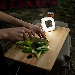 CORE 100 Lumen LED Tent Light Lantern, includes 3 AA Batteries, for Camping