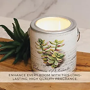 A CHEERFUL GIVER 95hr 20oz Scented Candle - Almond Butter - Multi-Wick Glass Candle - Gifts for Men and Women