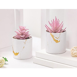 Der Rose Set of 2 Succulents Plants Artificial Mini Fake Succulents Plants for Office Desk Accessories for Women Pink Home Decor