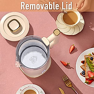 Dezin Electric Kettle, 1.5L BPA Free Double Wall Electric Water Kettle with Stainless Steel Filter, Borosilicate Glass Hot Water Boiler with Auto Shut Off & Boil Dry Protection Tech for Coffee, Tea