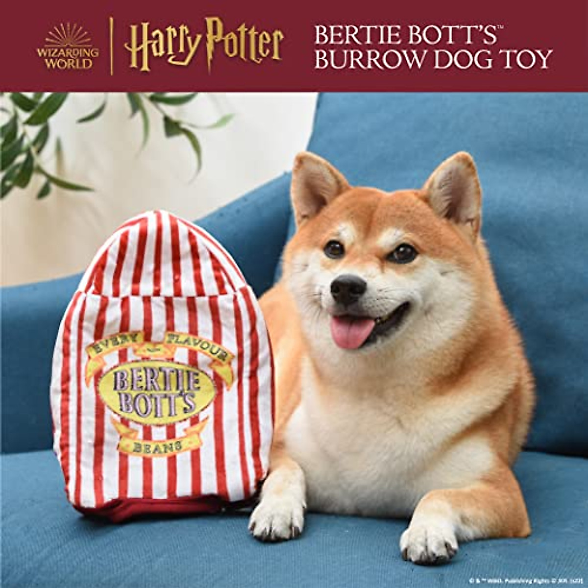 Harry Potter 10 Inch Bertie Botts Jelly Bean Burrow Pet Toy | Dog Toy Bertie Botts Jelly Beans | Bertie Botts Dog Toy with Jelly Beans 10 Inch | Plush Dog Toy