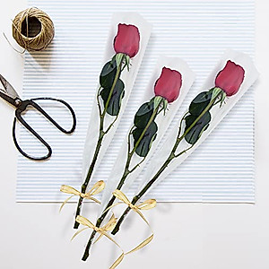 BEISHIDA 100 PCS Single Rose Sleeve Single Flower Wrapping Bags Single Rose Packaging Cellophane Flower Sleeves for Florist Bouquet Supplies Mother's Day Valentine's Day (White Clear Transparent)