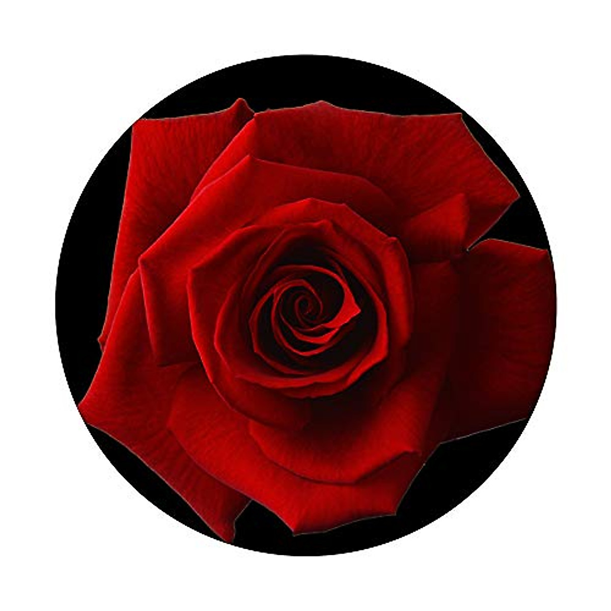 Cellphone Pop Out Holder Red Rose Flower Design Floral Black PopSockets PopGrip: Swappable Grip for Phones & Tablets