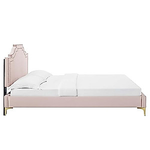 Modway MOD-6850-PNK Adelaide Performance Velvet Twin Bed, Pink Platform