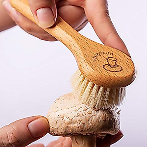 Valentino Garemi Mushroom Cleaning Brush – Kitchen Sink Utensil Restaurant House Use – Made in Germany