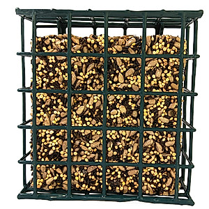 Songbird Treats Seed Bars | 12 Pack of 8 oz Bird Seed Cakes for Wild Birds (Woodpecker Crunch)