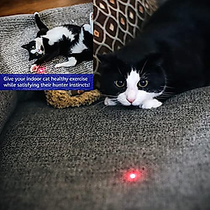 Pet Fit For Life Rechargeable Chaser Safe LED Light Cat Feather Teaser Toy w/ Bird Chirping Sounds