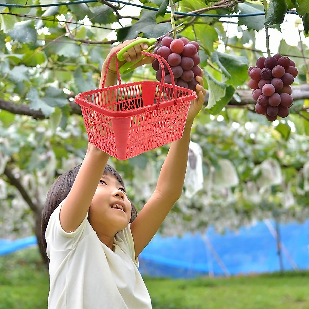 Cabilock 20pcs Small Fruit Basket Strawberry Cherry Basket Plastic Handle Basket Container Red Mini Shopping Basket Kids Adult Fruit Picking Basket 23. 5x17x11cm Random Patterns