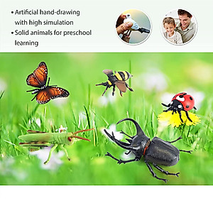 Volnau Bug Toys Figurines 12PCS Insect Animal Figures for Kids Toddlers Decorations Educational Bee Beetle Mantis Spider Ladybug Butterfly Plastic Model