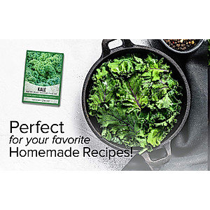 Gardeners Basics, Kale Seeds for Planting, Heirloom, Non-GMO Vegetable Variety - Great for Indoor, Outdoor, and Hydroponics Gardening (Vates Blue Scotch Curled)
