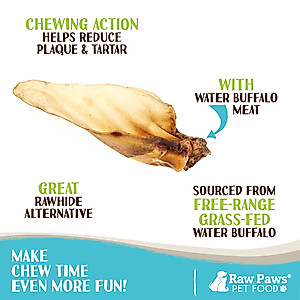Raw Paws Water Buffalo Ears for Dogs (5 Pack) - Packed in USA - Alternative for Pig Ears for Dogs or Cow Ears - Dog Treat Animal Ears - Rawhide Free Dog Chews Long Lasting Chews for Aggressive Chewers