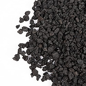GASPRO 2.5lbs Lava Rocks for Plants, 1/5 Inch Black Gravel for Succulent, Cactus, Bonsai Tree, Pure Volcanic Rocks, Top-Dressing, Good Drainage