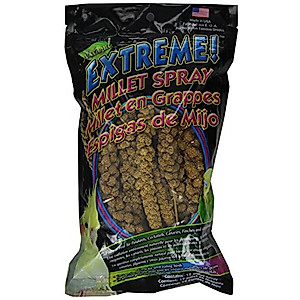 F.M.Brown'S 42398 Extreme Millet Spray, 12-Pack