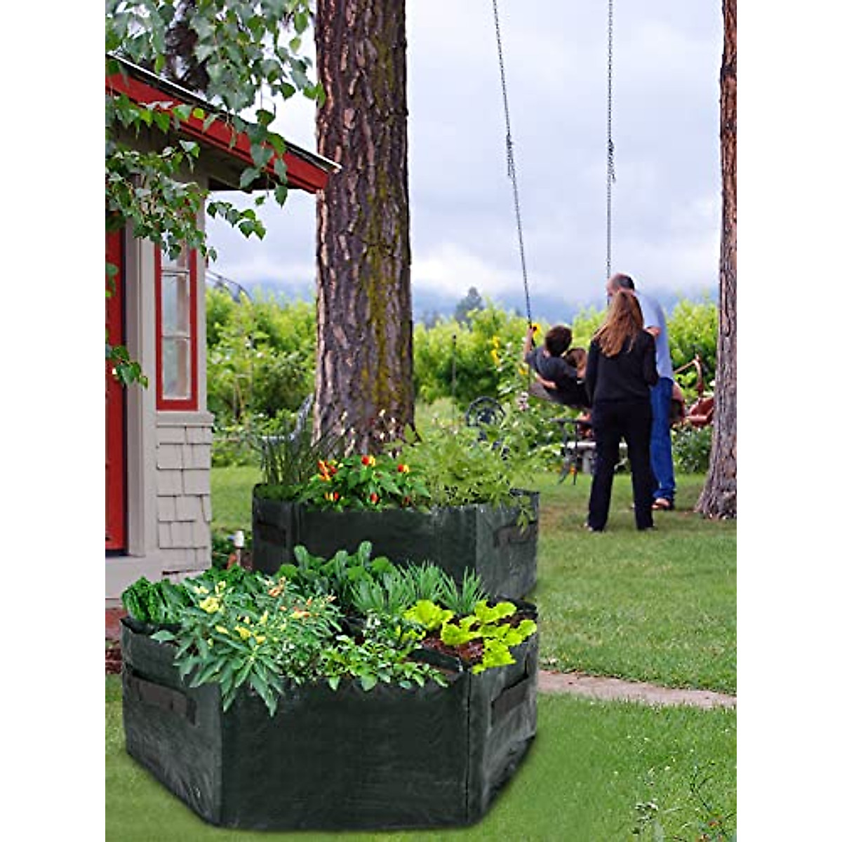 2 Pack 27 Gallon PE Fabric Raised Garden Planter Bed- Sturdy 6 Divided Grids Raised Vegetable Grow Bags with Handles & Drainage Holes Durable Hexagon Potato Tomato Planting Grow Pot for Plants Flower