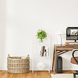 Azheruol Bookshelf Storage Shelf Small Bookcase Freestanding Storage Stand for Living Room, Bedroom, Kitchen Rust Resistance, Easy Assembly Free Combination Multi-Functional Organizer (3 Tiers, White)