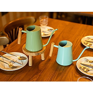 Watering Can Indoor Plants 35oz Sage Green Water Can Indoor Metal Small Water Can Pot with Long Spout for House Bonsai Plants Garden Flower Decorative