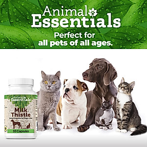 Animal Essentials Milk Thistle Liver Support for Dogs and Cats, 30 Capsules - Made in USA Liver Supplement