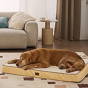 Bedsure Orthopedic Dog Bed for XL Dogs - Memory Foam Dog Beds, 2-Layer Thick Pet Bed with Removable Washable Cover and Waterproof Lining (44x32x4 Inches), Spicy Mustard